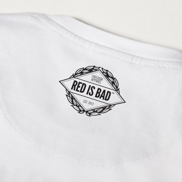 The illustration, detailed in the smallest details, depicts the epic ...